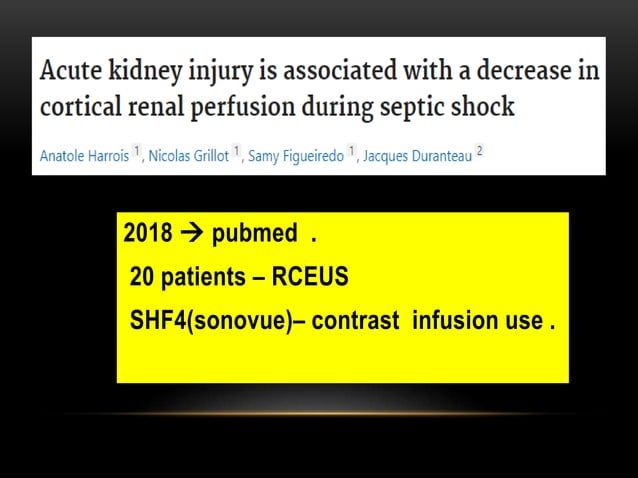 Renal blood flow and perfusion | PPT