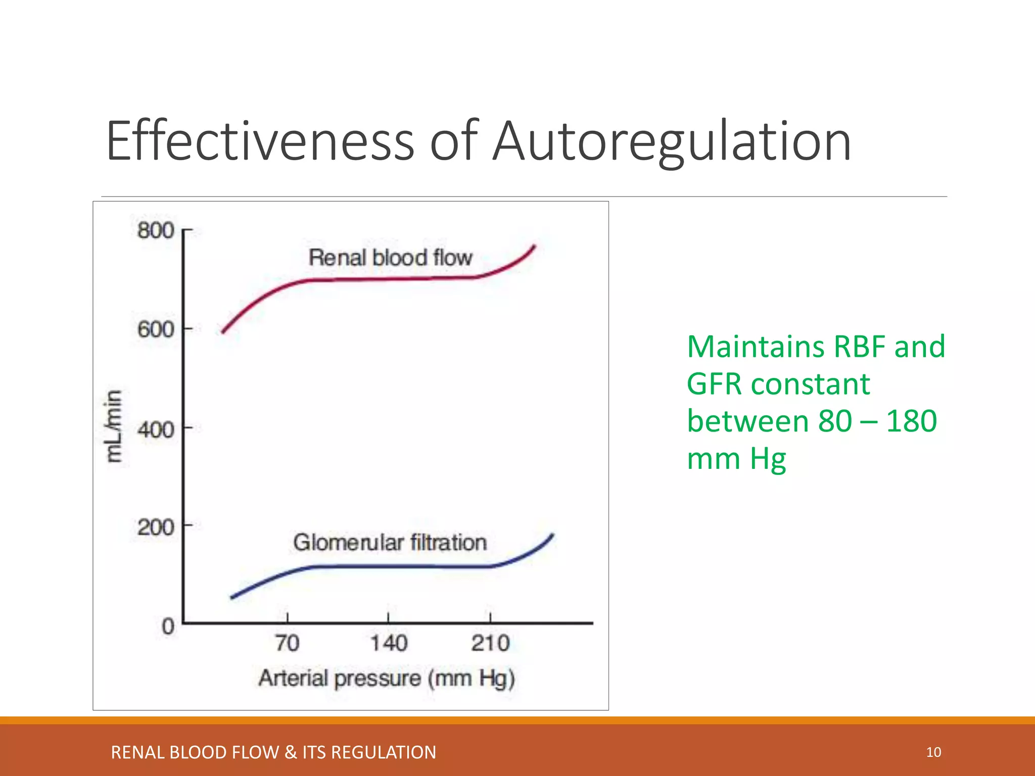 Renal blood flow and its regulation | PPTX