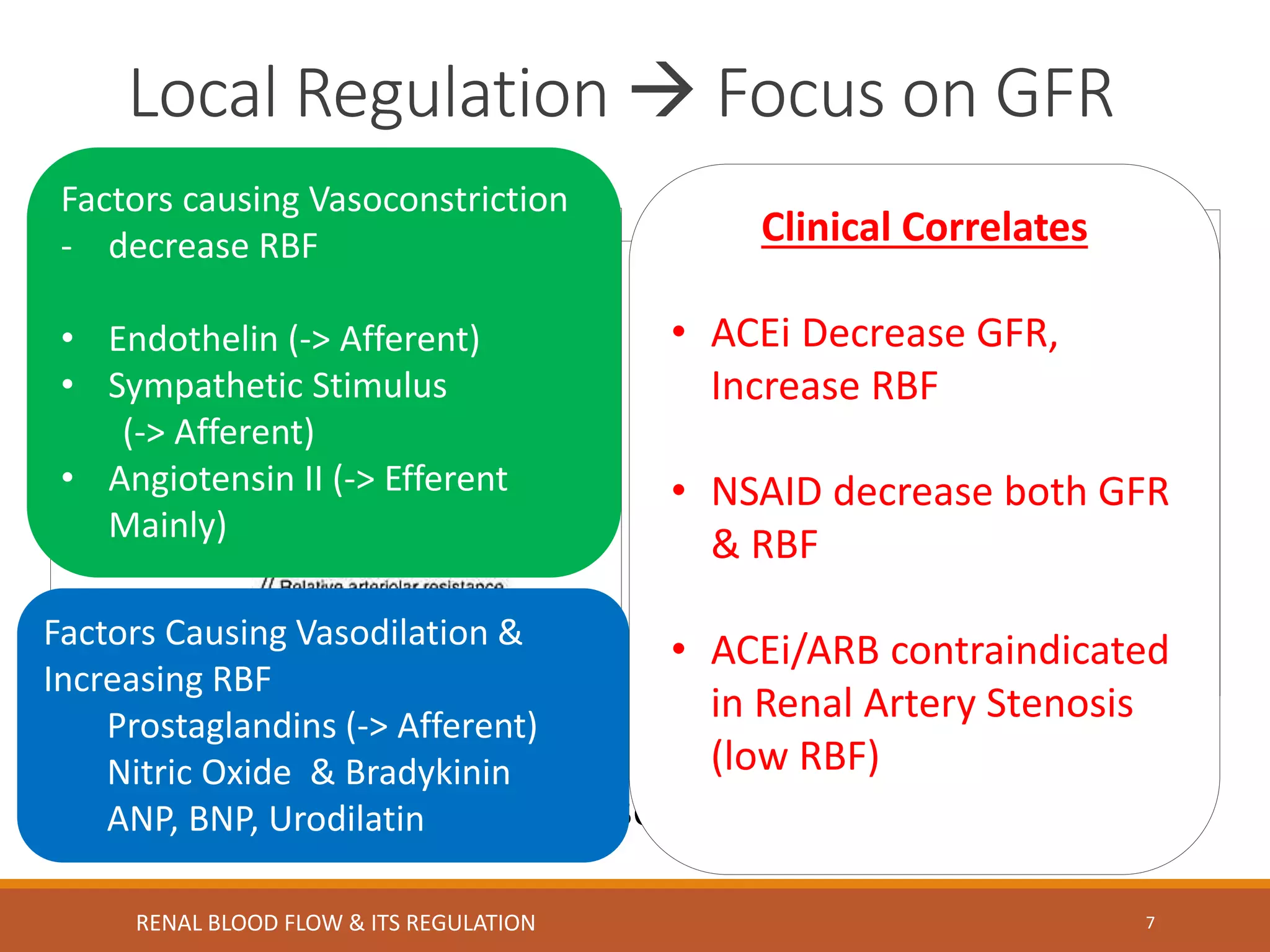 Renal blood flow and its regulation | PPTX