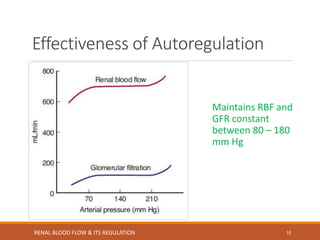 Renal blood flow and its regulation | PPTX