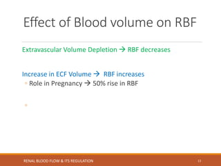 Renal blood flow and its regulation | PPTX