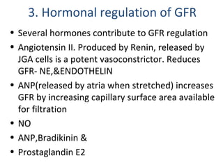 Renal blood flow & jga | PPT