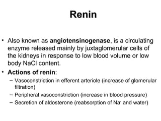 Renal blood flow & jga | PPT