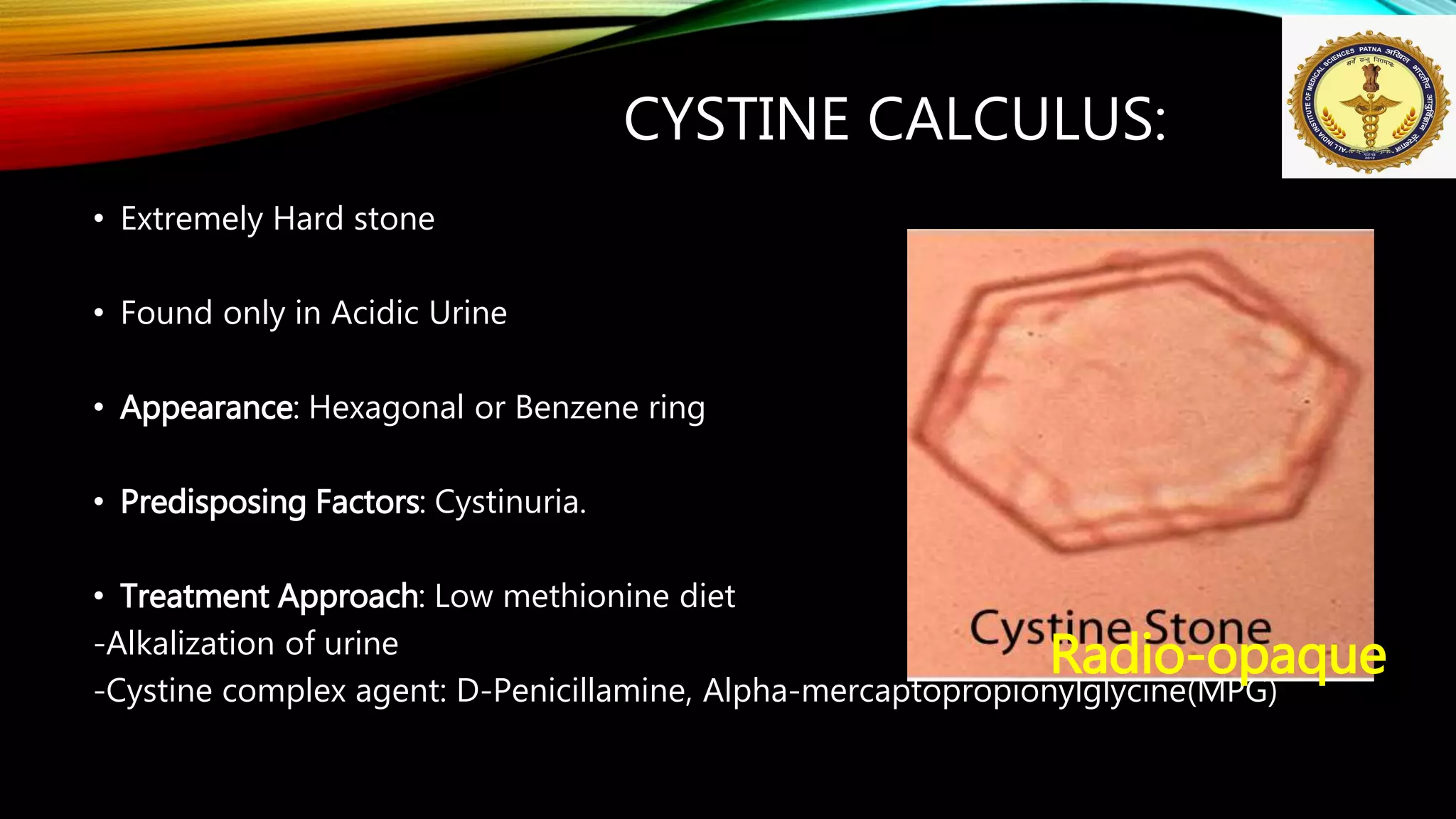 Renal stone by Dr Anil Kumar, Assistant Professor, AIIMS-Patna | PPTX