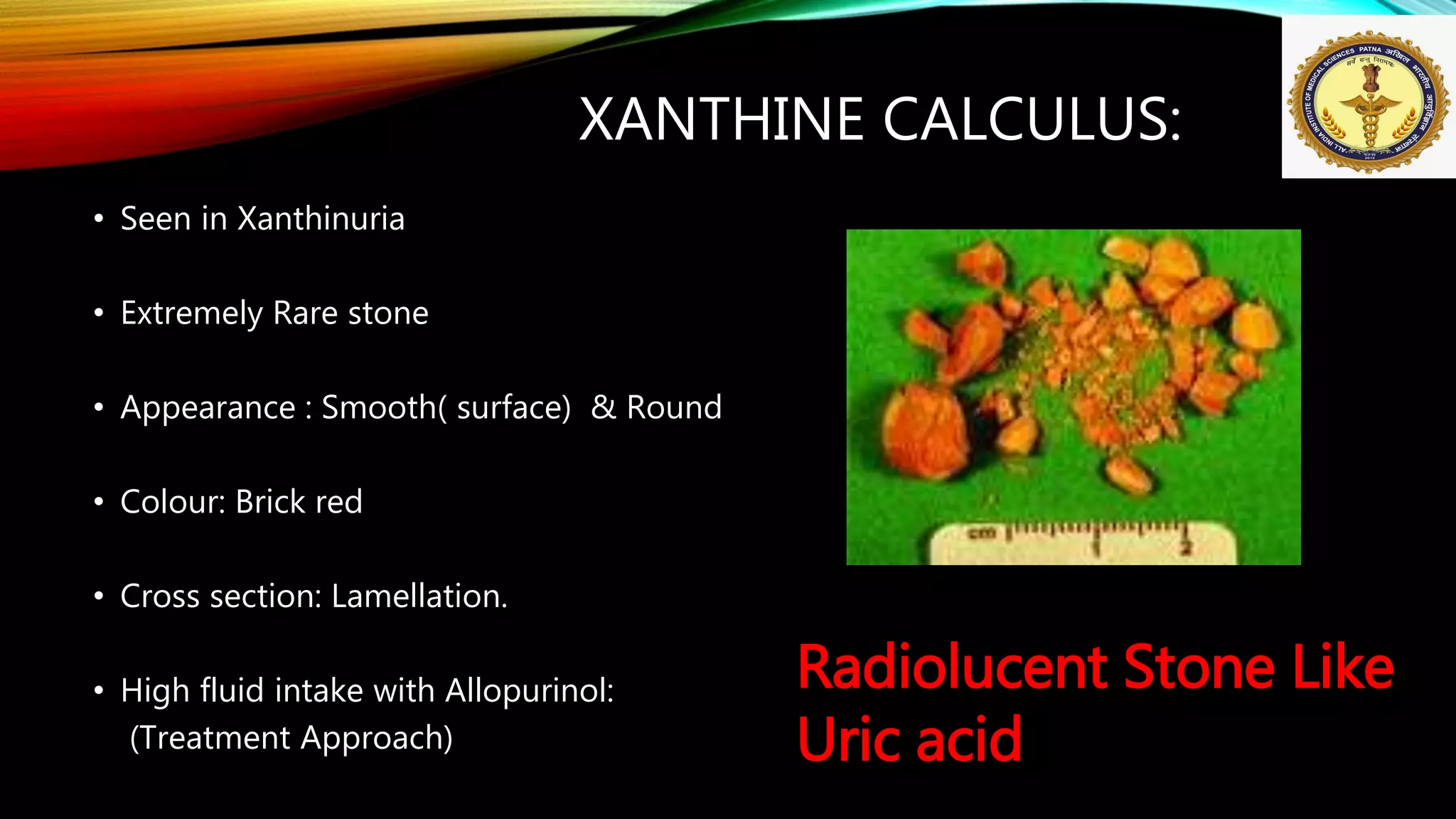 Renal stone by Dr Anil Kumar, Assistant Professor, AIIMS-Patna | PPTX