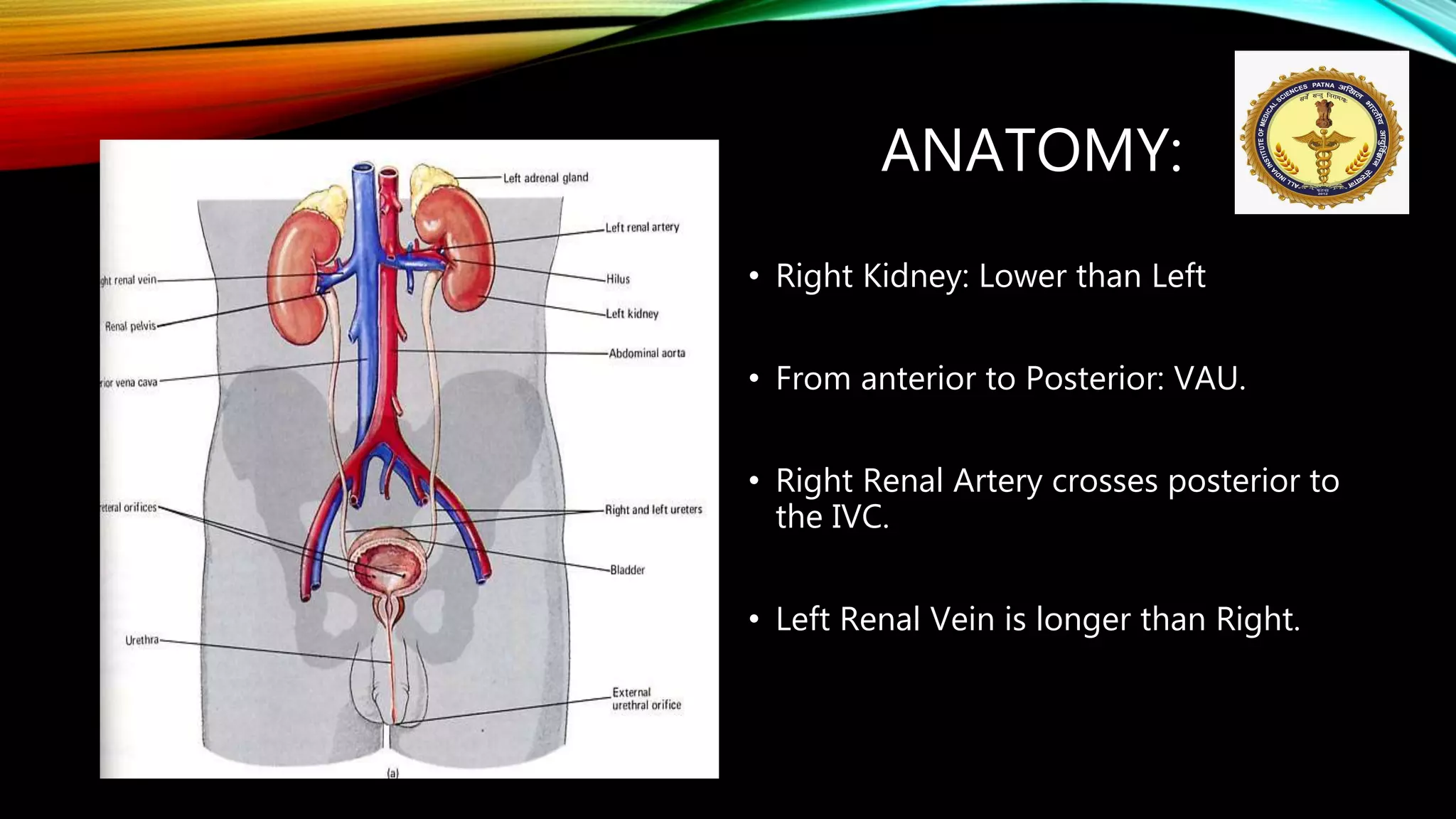 Renal stone by Dr Anil Kumar, Assistant Professor, AIIMS-Patna | PPTX