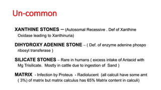 Renal calculi | PPTX