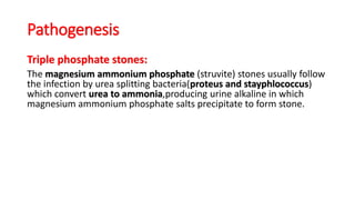 Renal calculi | PPTX