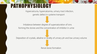 Nephrolithiasis Pathophysiology Diagram