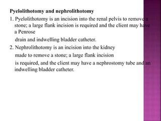 Renal calculi | PPTX | Digestive Disorders | Diseases and Conditions
