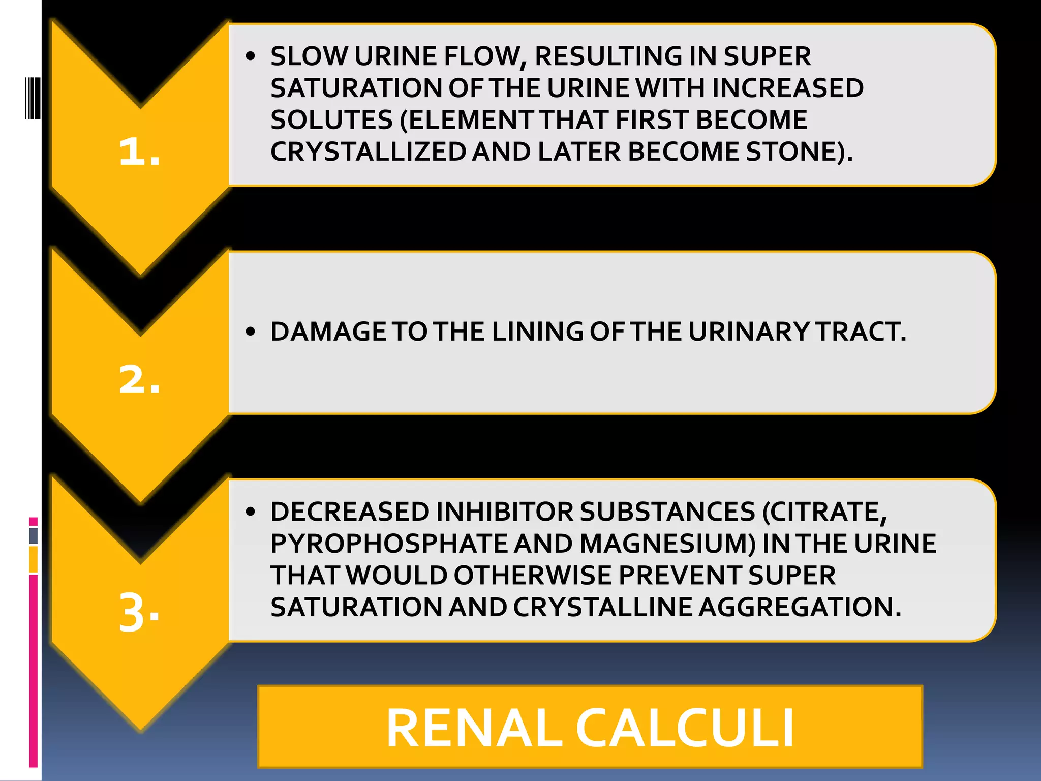 Renal calculi | PPTX