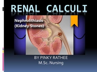 Renal calculi | PPTX
