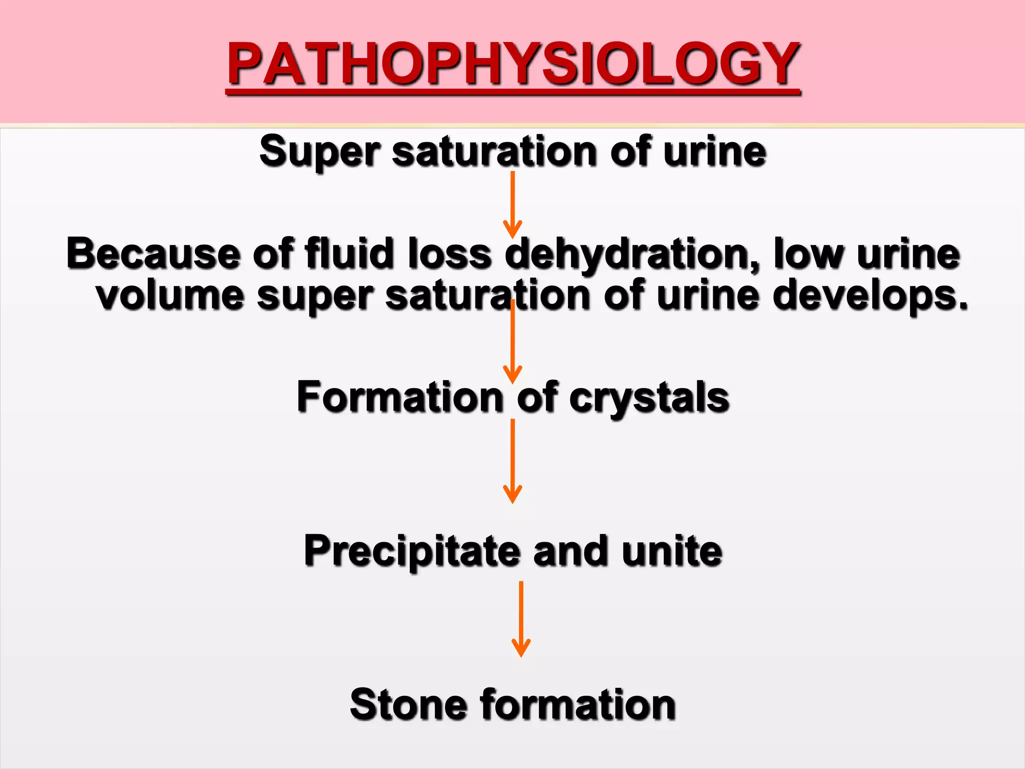 Renal calculi | PPTX