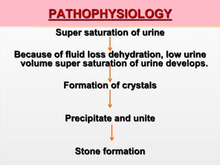 Renal calculi | PPTX