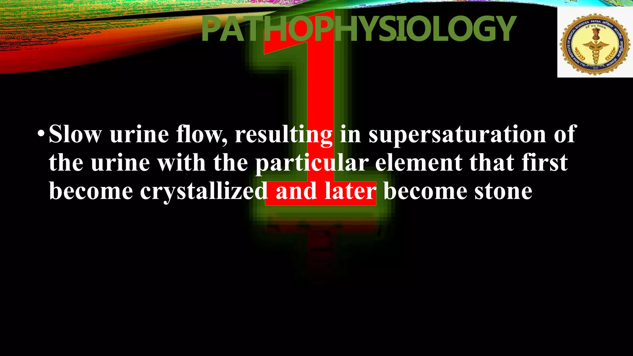 renal calculi.pptx