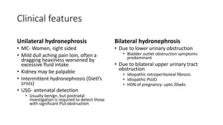 Renal calculi and obstructive uropathy.pptx