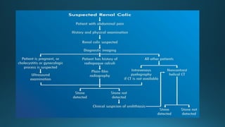different Renal calculi types and its management | PPTX