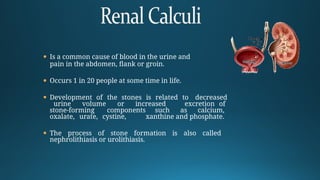 different Renal calculi types and its management | PPTX