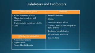 different Renal calculi types and its management | PPTX