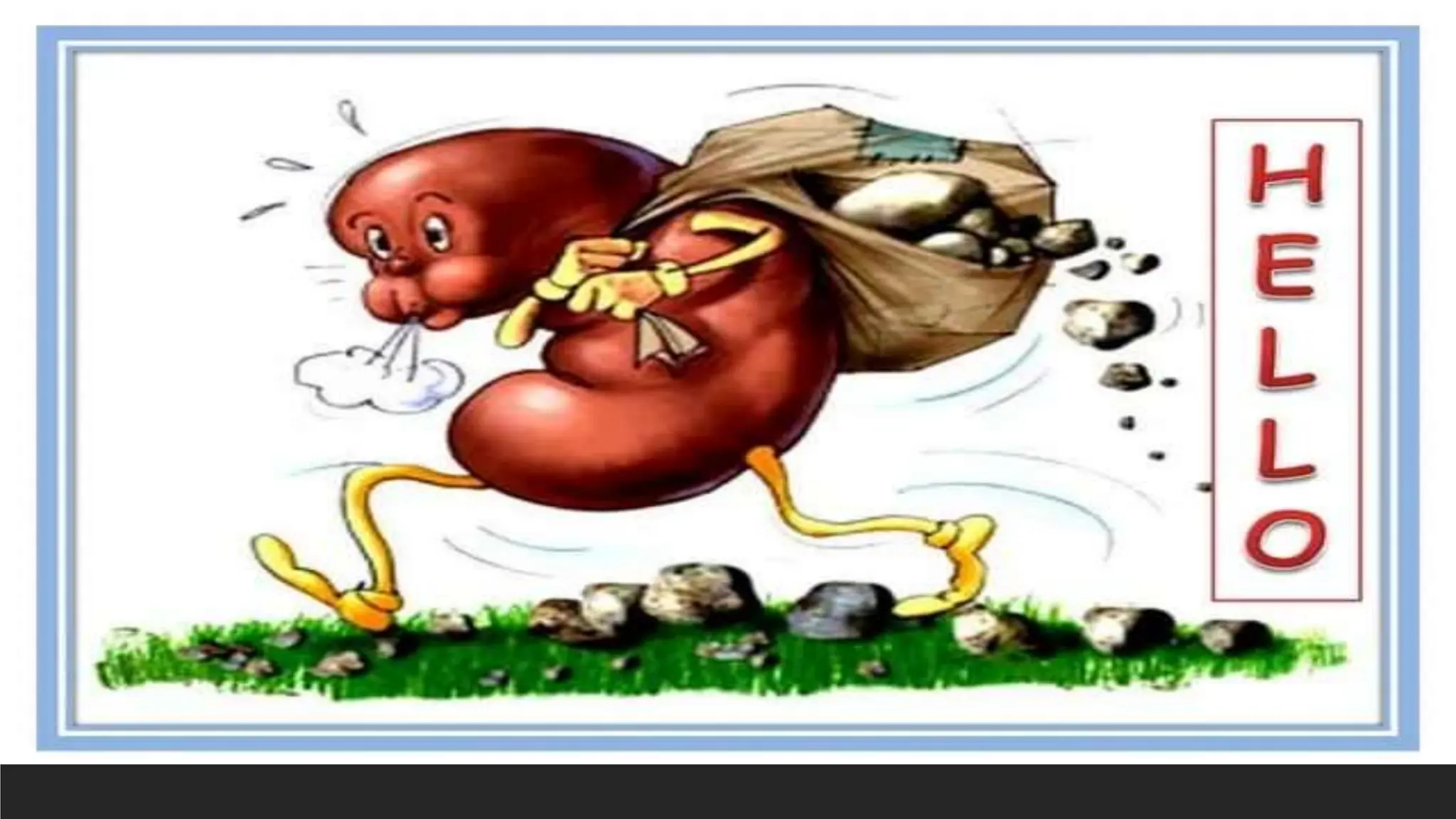 renal calculi power point presentation c | PPTX