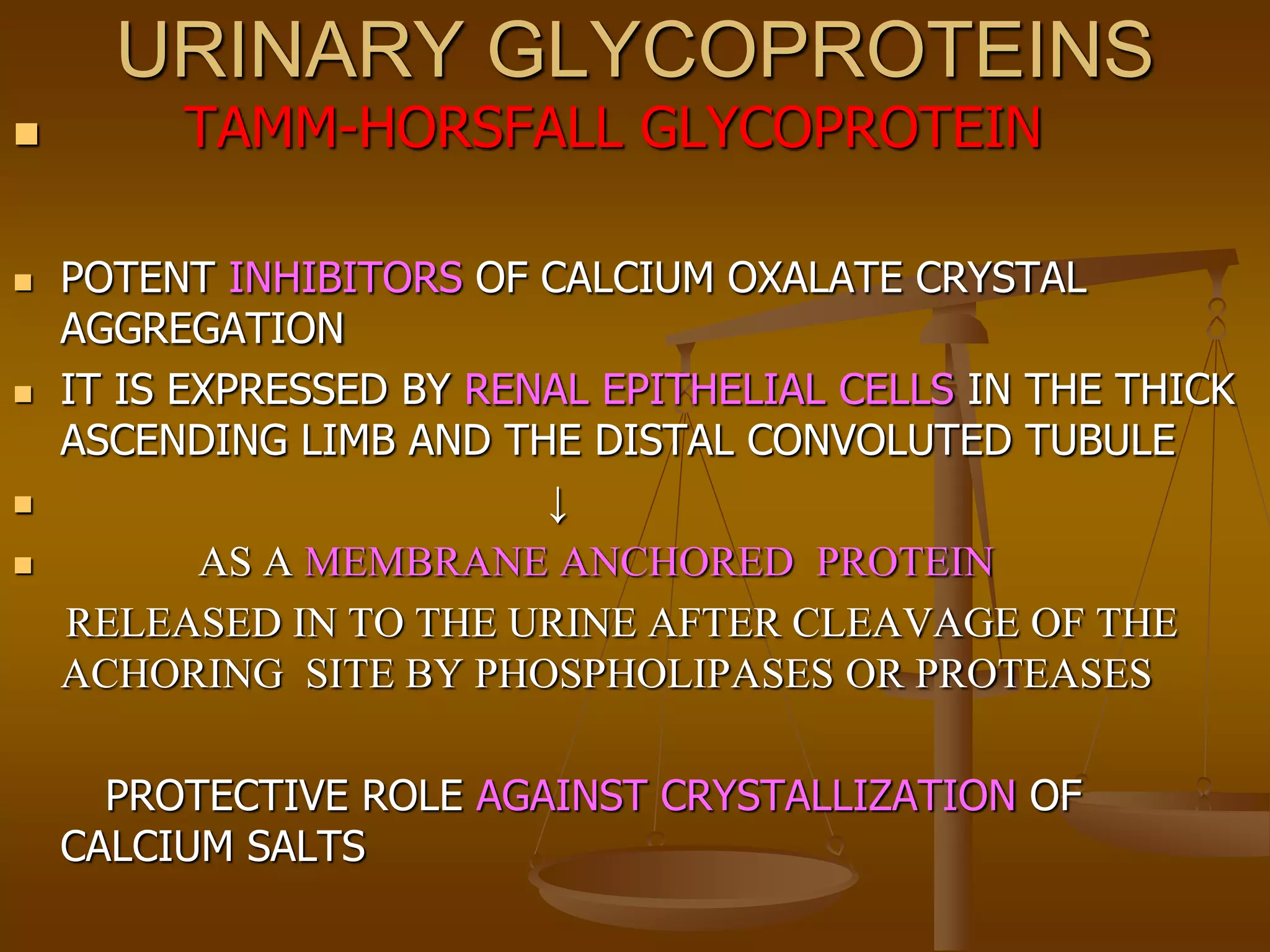 Renal stone disease | PPTX