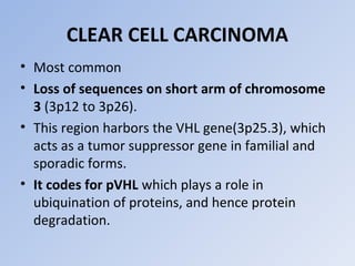 Renal cell carcinoma | PPT