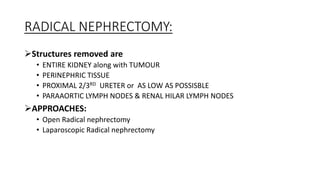 Renal cell carcinoma mgt ppt.pptx