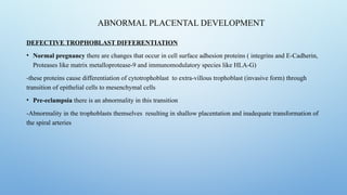 Renal Changes in Pregnancy and Pathophysiology of Preeclampsia .pptx