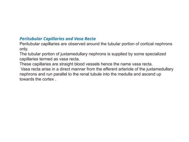 RENAL CIRCULATION-, counter current mechanism, counter current ...