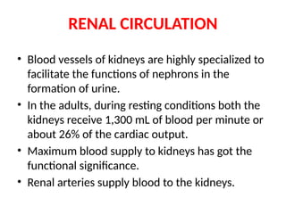 RENAL CIRCULATION.pptxFUNCTIONAL ANATOMY.pptxEnteric nervous system ...