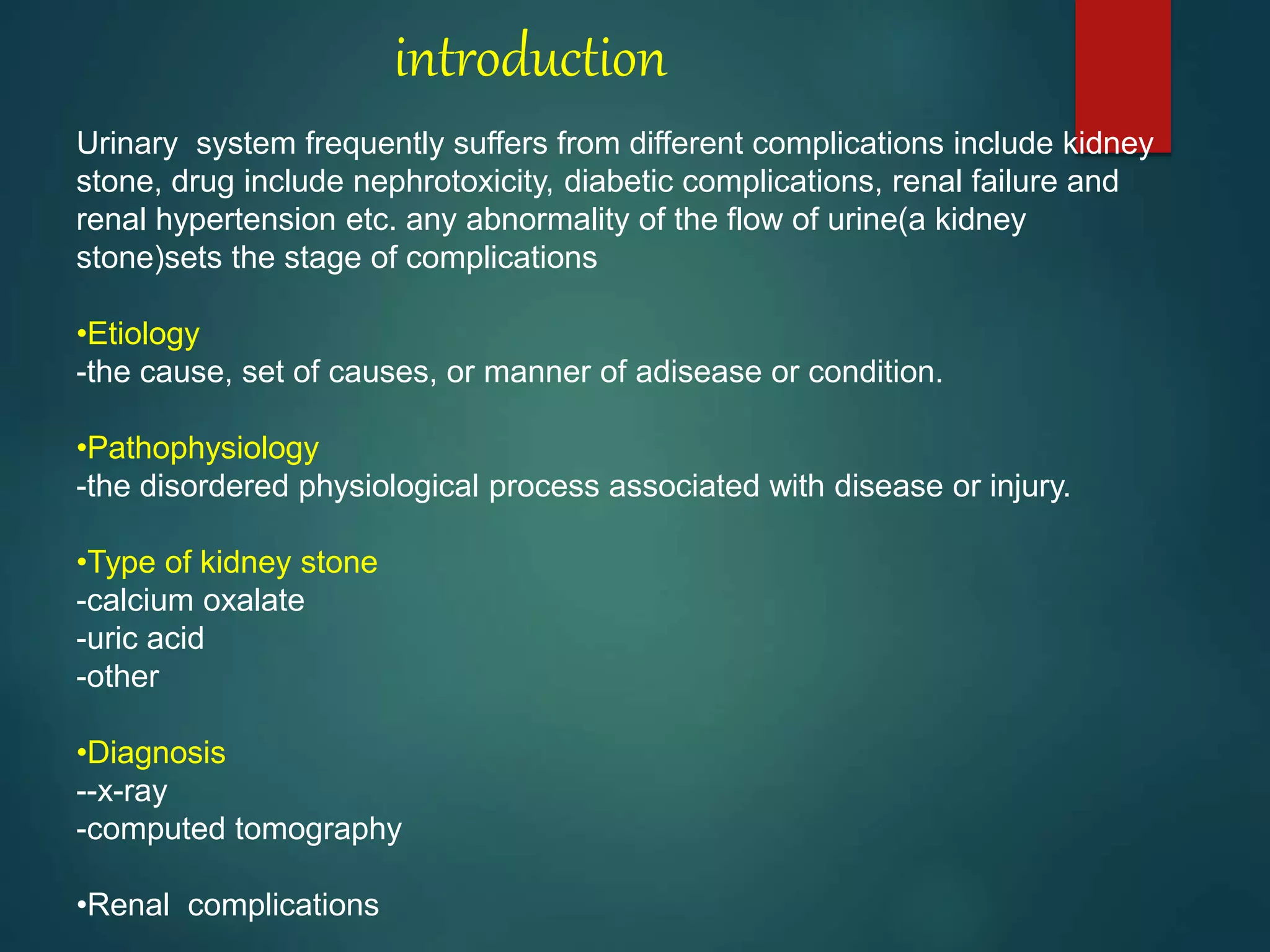 Renal Complication And Their Herbal Remedy final.pptx