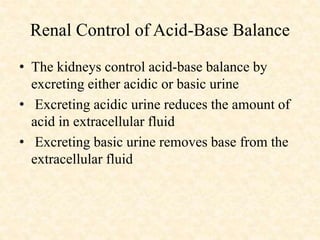 Renal control of acid base balance | PPTX