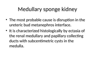 RENAL CYSTIC DISEASES and renal pathology (1).pptx