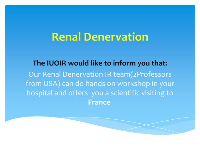 Renal denervation | PPTX
