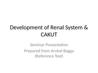 Renal_Development_CAKUT_Seminar.pptx in short | PPTX