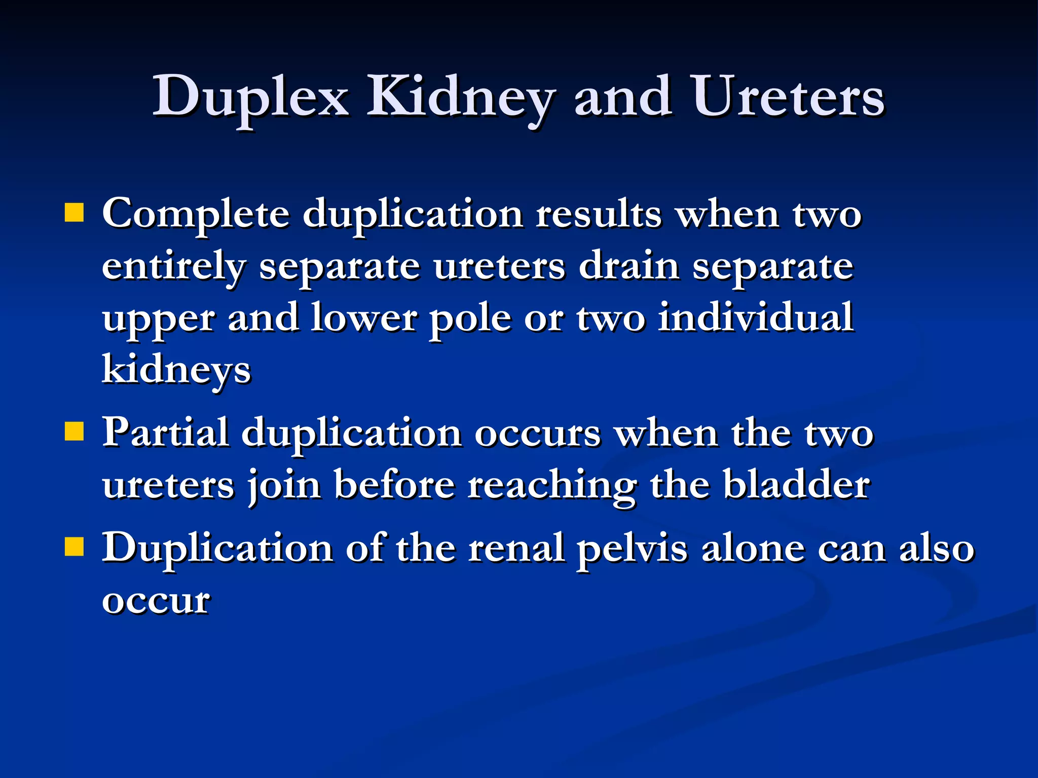 Renal Development Dysplasia 2 | PPT