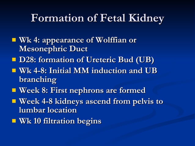 Renal Development Dysplasia 2 | PPT