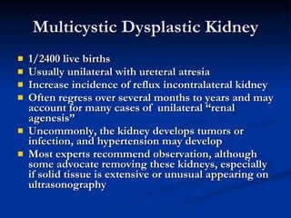 Renal Development Dysplasia 2 | PPT