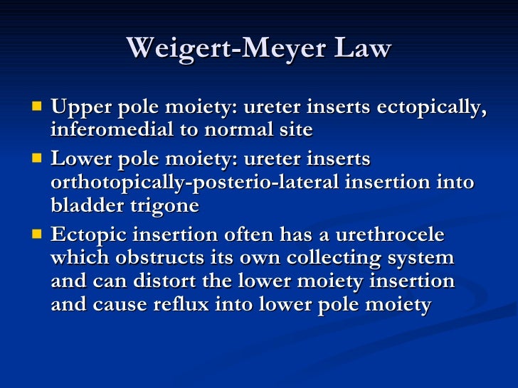 Renal Development Dysplasia 2