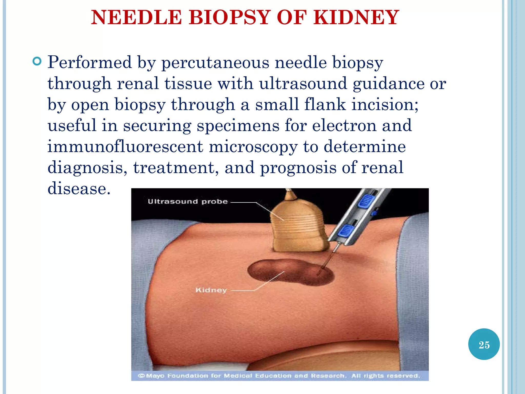 Renal Diagnostic Tests OR Investigations | PPT