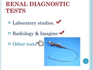 Renal Diagnostic Tests OR Investigations | PPT