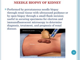 Renal Diagnostic Tests OR Investigations | PPT