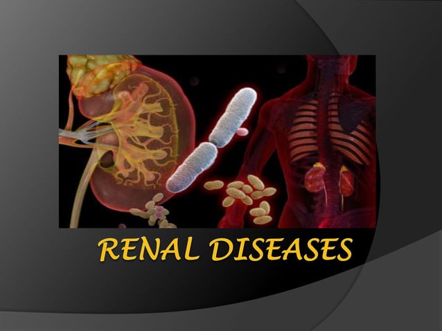 Renal diseases | PPTX