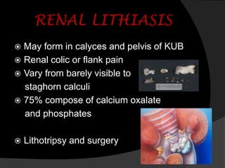 Renal diseases | PPTX
