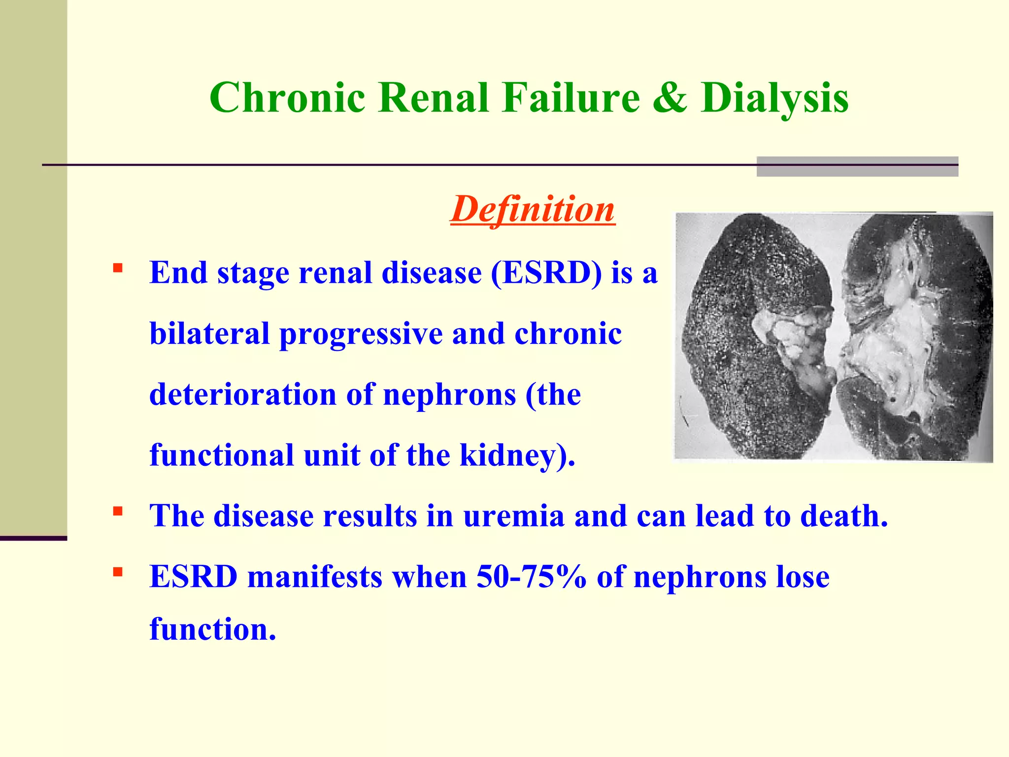 Renal diseases | PPT