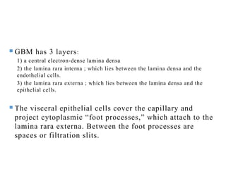 Glomerulonephritis and nephrotic syndrome (1).pptx