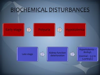 Renal disorders | PPTX