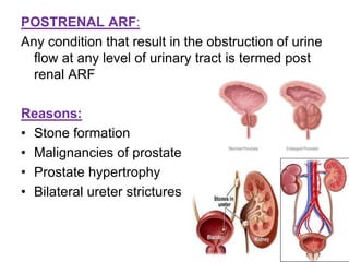 Renal disorders.ppt