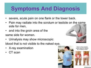 Renal disorders.ppt