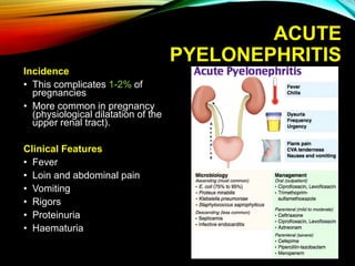 Renal disorders in pregnancy | PPTX